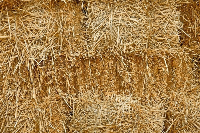 Pile of stacked straw bales | Stock image | Colourbox