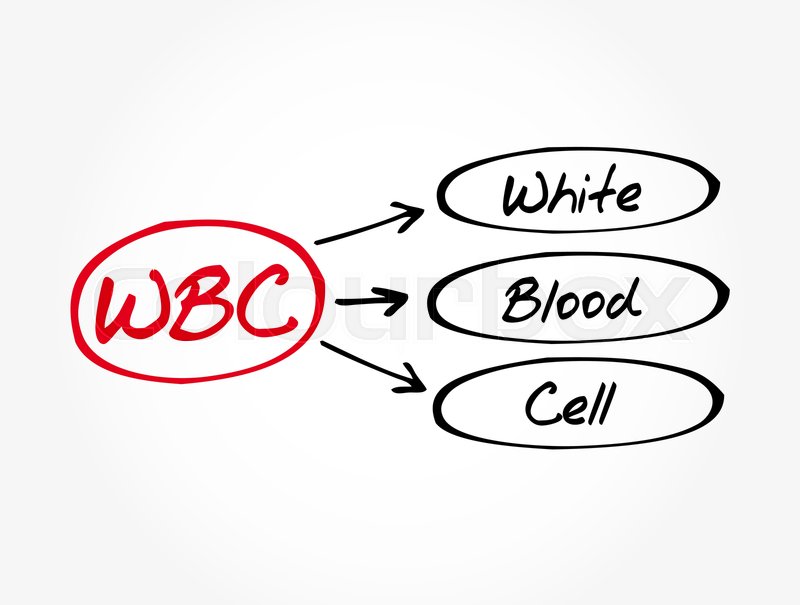WBC - White Blood Cell acronym, ... | Stock vector | Colourbox