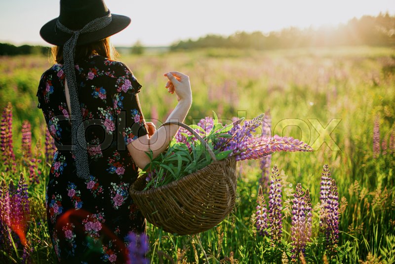 Beautiful stylish woman gathering ... | Stock image | Colourbox