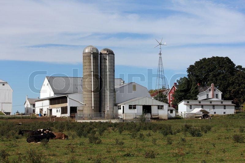 Dairy Farm | Stock image | Colourbox