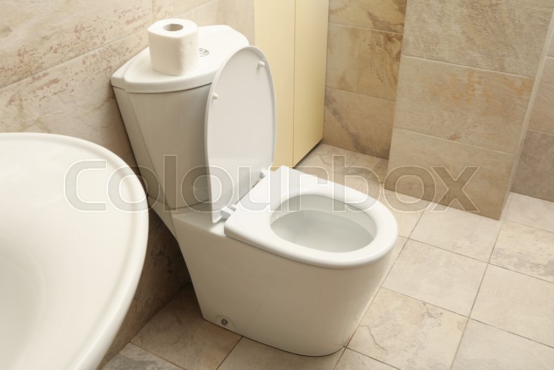 Modern Toilet Bowl