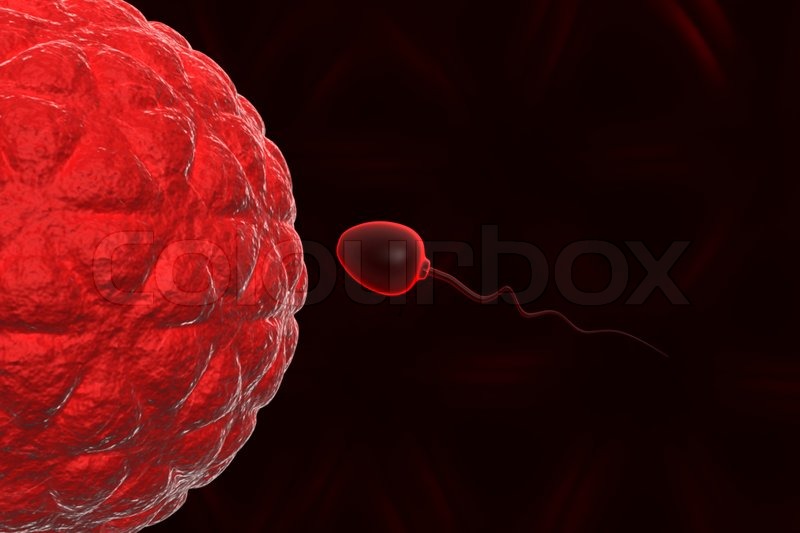 Natural insemination: sperm and human ... | Stock image | Colourbox