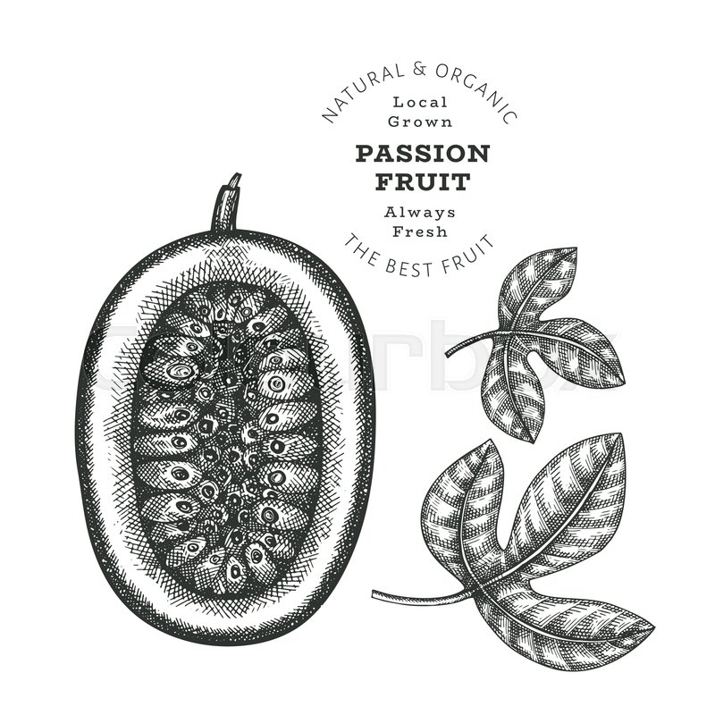 Hand drawn sketch style passion fruit. ... | Stock vector | Colourbox