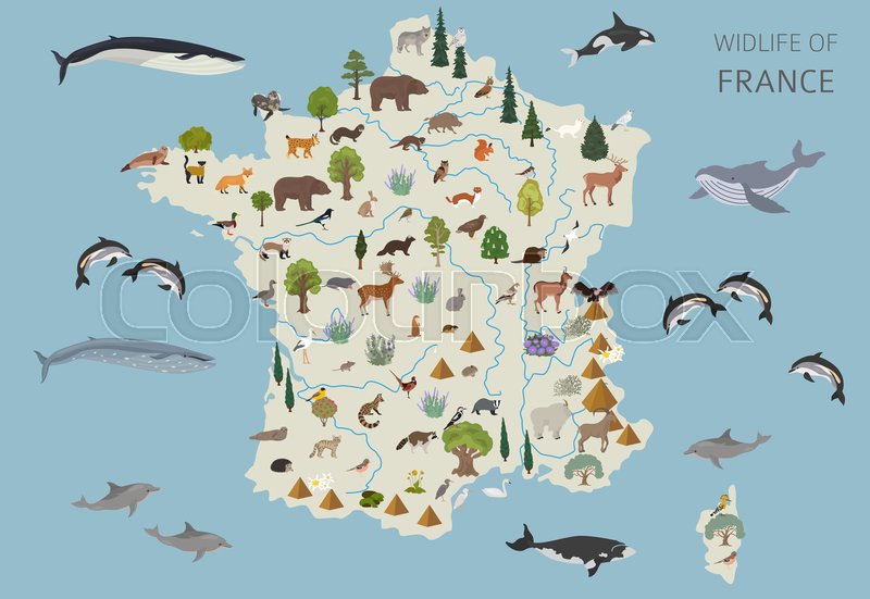 Flat design of France wildlife. ... | Stock vector | Colourbox