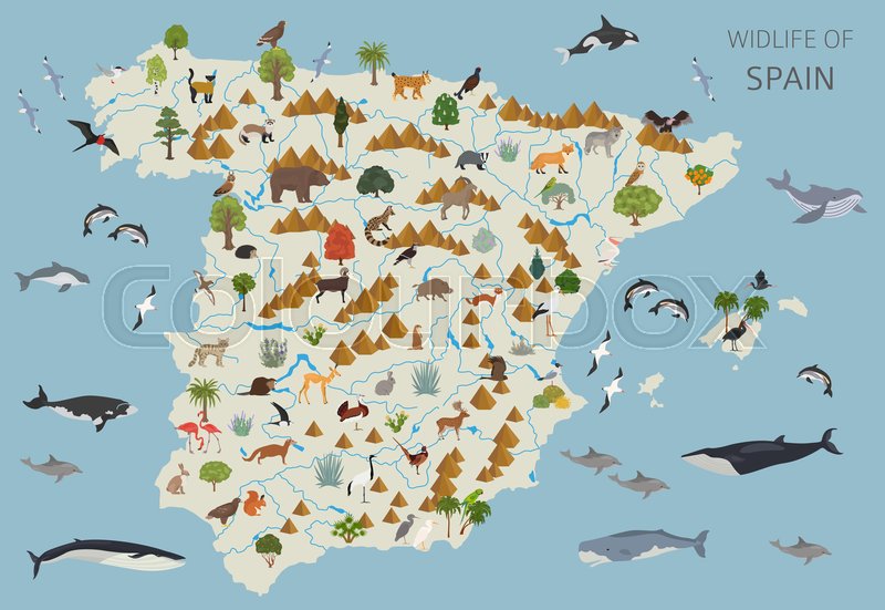 Flat design of Spain wildlife. ... | Stock vector | Colourbox