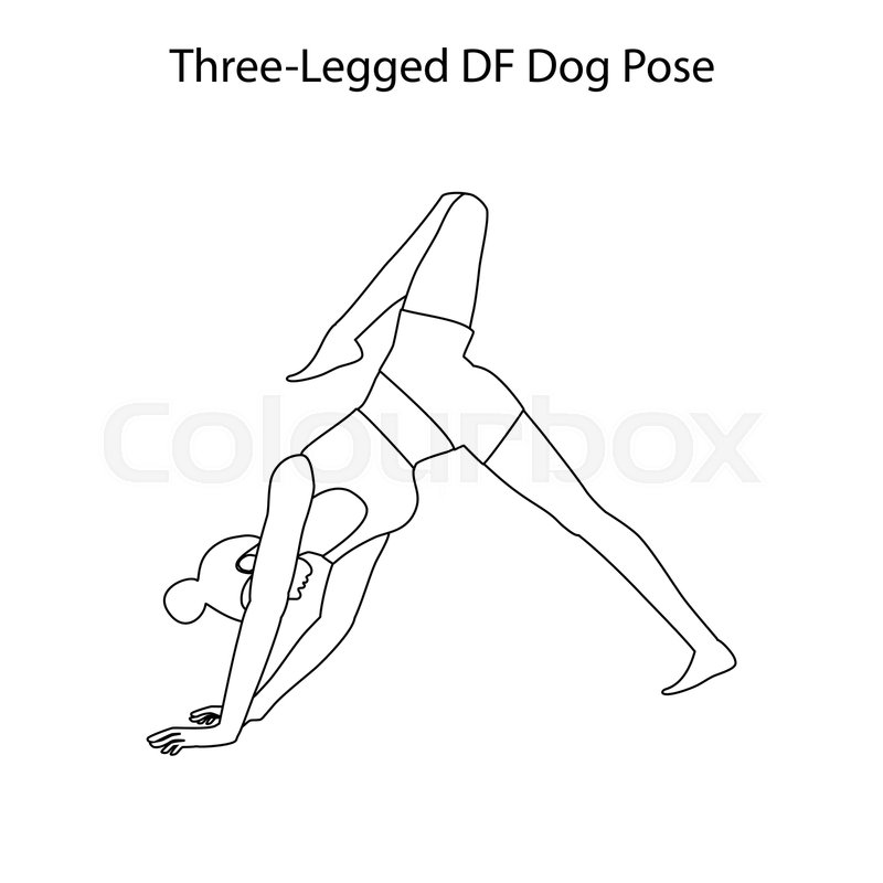 Three-Legged DF Dog Pose Outline on ... | Stock vector | Colourbox