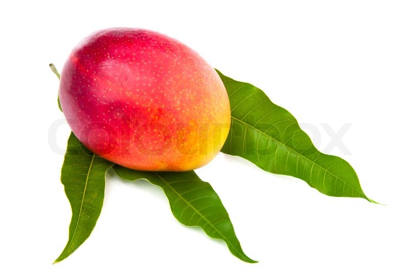 Frugtkød, frisk, mangofrugt | Stock foto | Colourbox