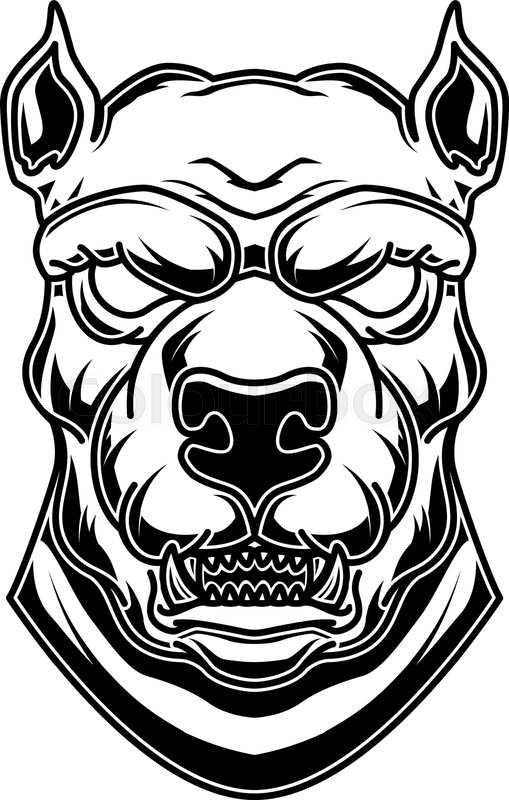 Pitbull Head Drawing