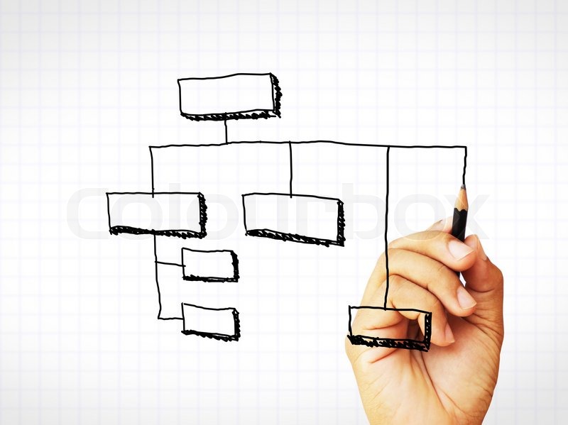 Organization drawing by hand sketching | Stock image | Colourbox