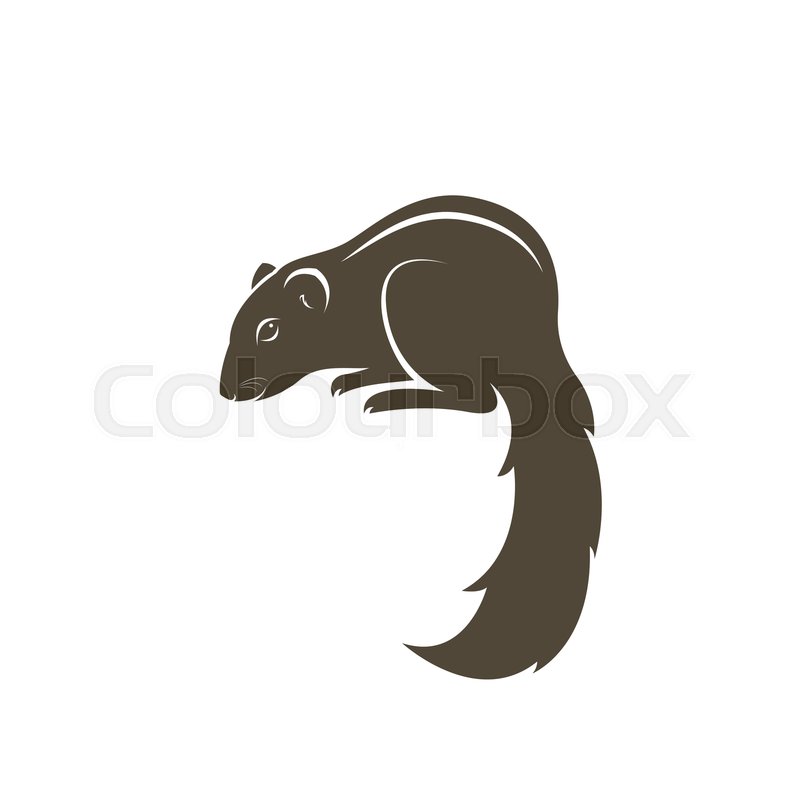 Vector of chipmunk design on white ... | Stock vector | Colourbox