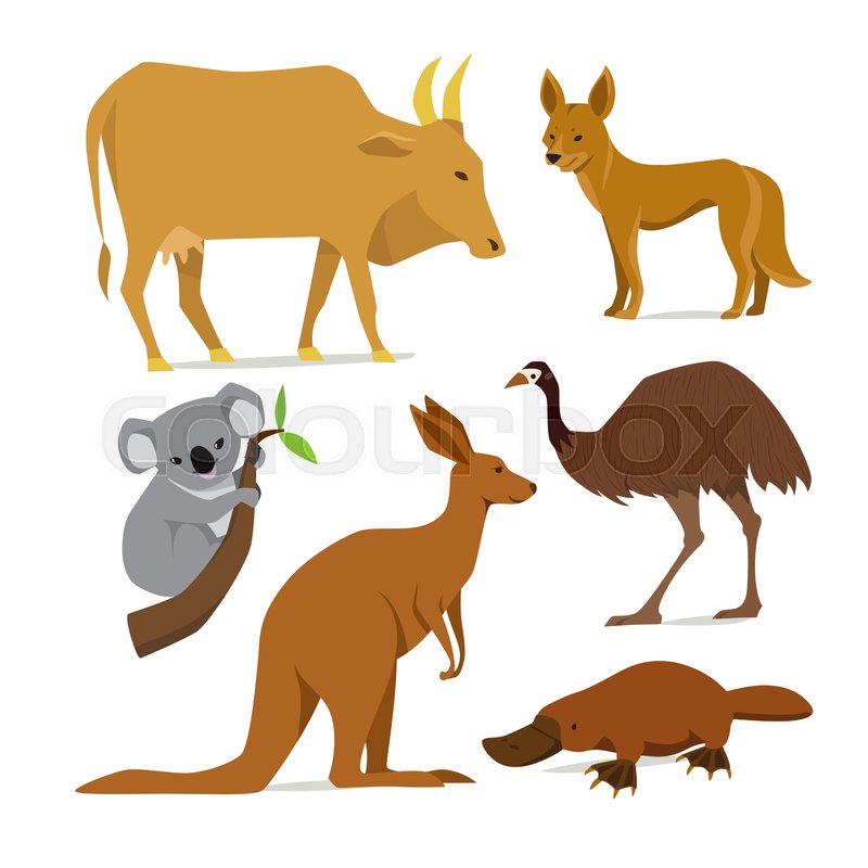 Animals of Australia.Animals of ... | Stock vector | Colourbox