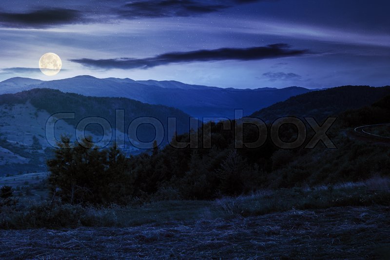 Grassy Hill Night