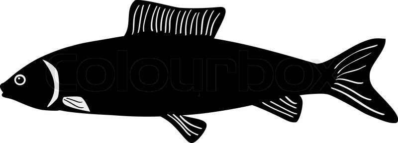 Silhouette of grayling | Stock vector | Colourbox