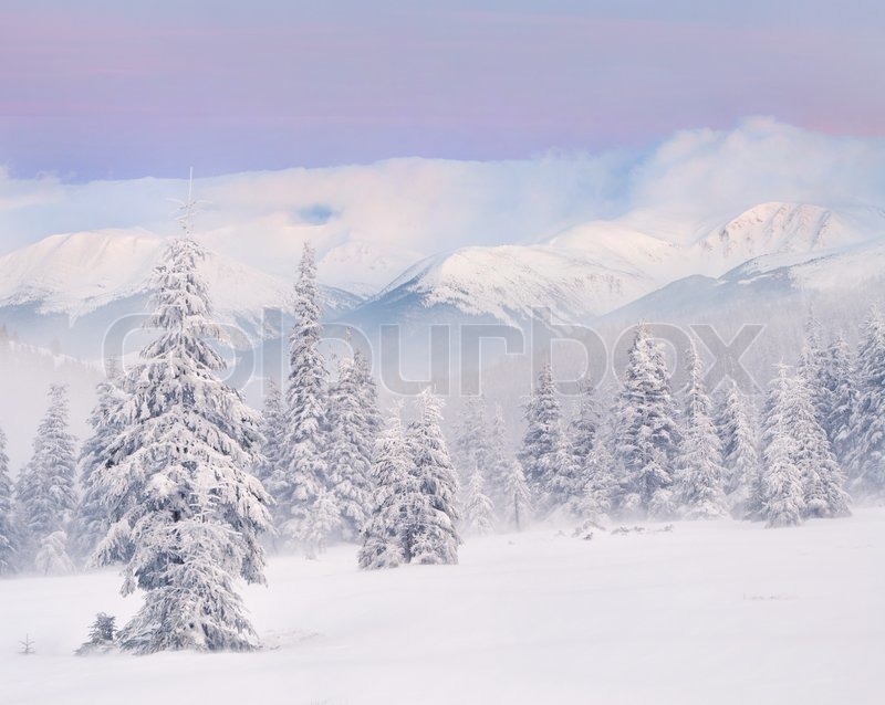 Snowstorm in the mountains Winter ... | Stock image | Colourbox