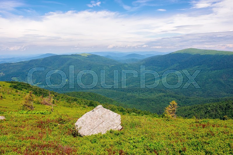 Rocky Grassy Landscape