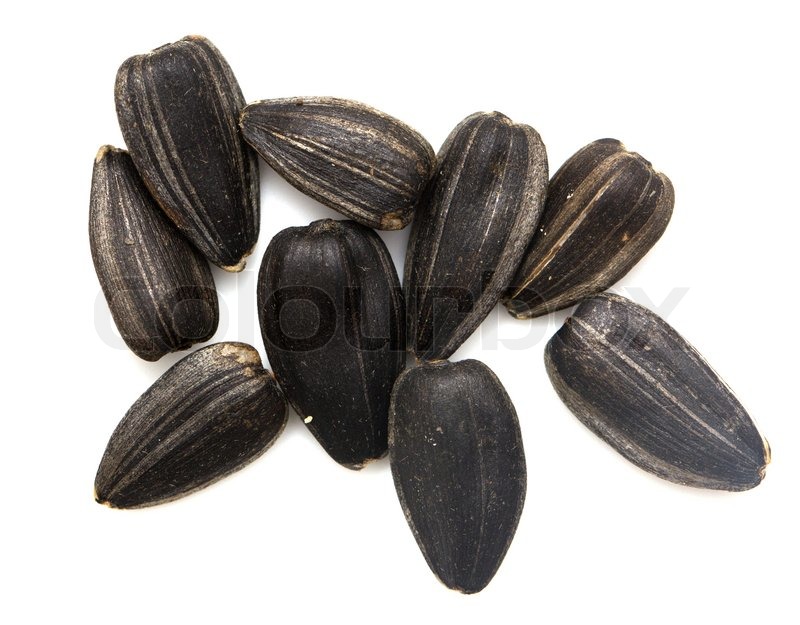 Black seeds on a white background macro | Stock image | Colourbox
