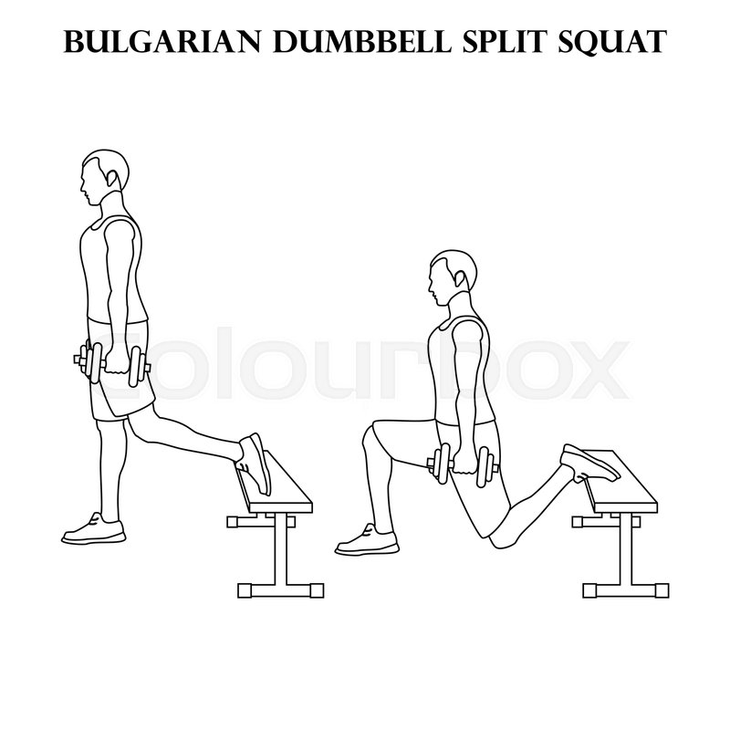 Bulgarian dumbbell split squat ... | Stock vector | Colourbox