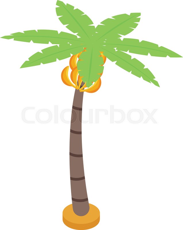 Banana fruit tree icon. Isometric of ... | Stock vector | Colourbox