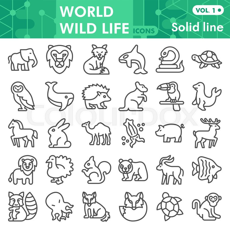 Animal Text Symbols