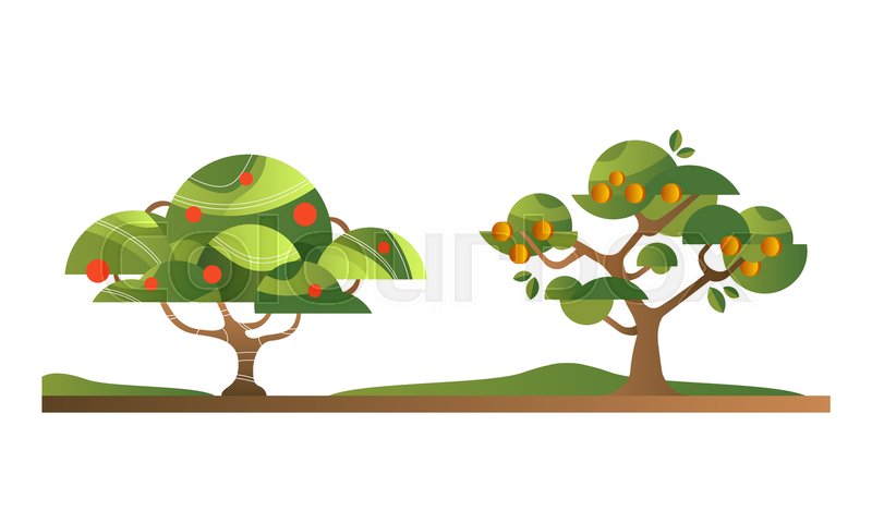 Set of Fruit Trees with Ripe Fruits, ... | Stock vector | Colourbox