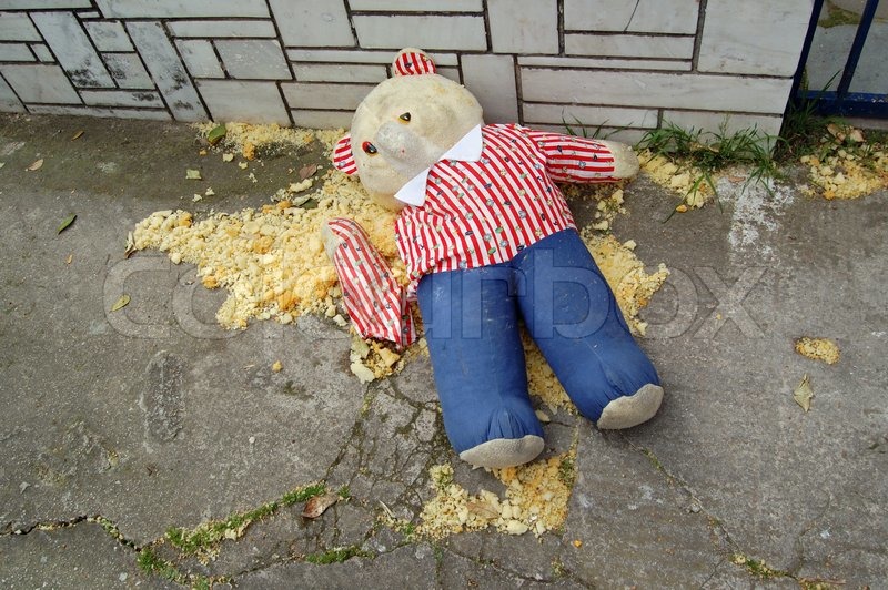 Torn Teddy Bear