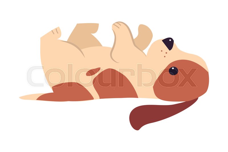 Cute Playful Puppy Dog Lying on its ... | Stock vector | Colourbox