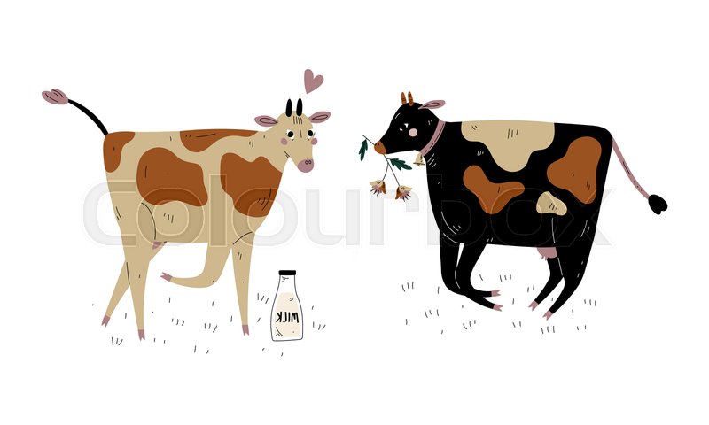 Dairy Cow Vector