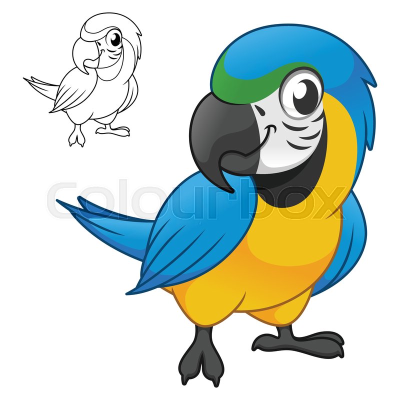 Blue Macaw Drawing