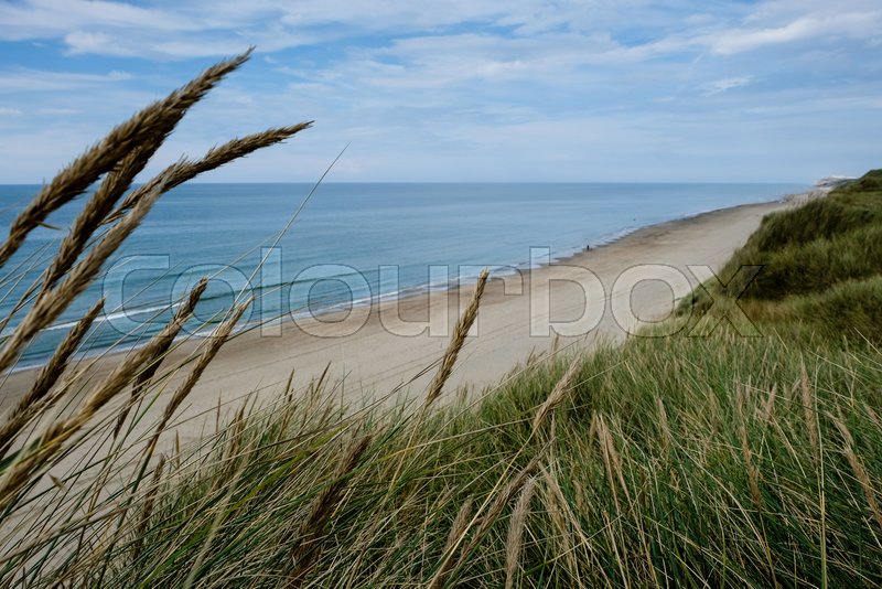Dune Cliff of the northern Jutland, ... | Stock image | Colourbox