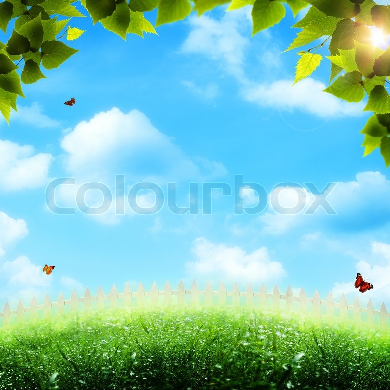 Abstract natural backgrounds for your ... | Stock image | Colourbox