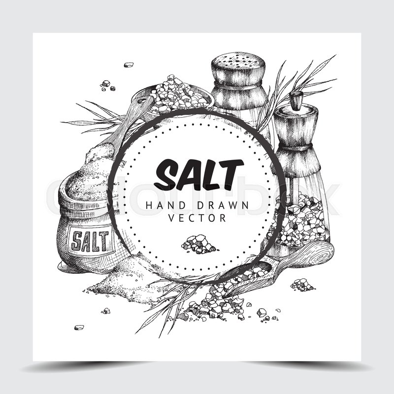 Sea salt frame or label template in ... | Stock vector | Colourbox