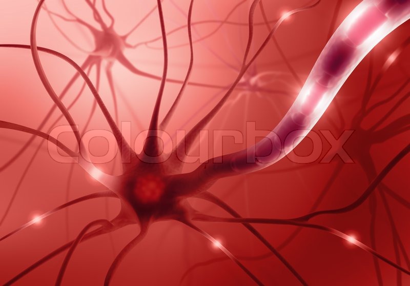 Nerve Cell | Stock image | Colourbox