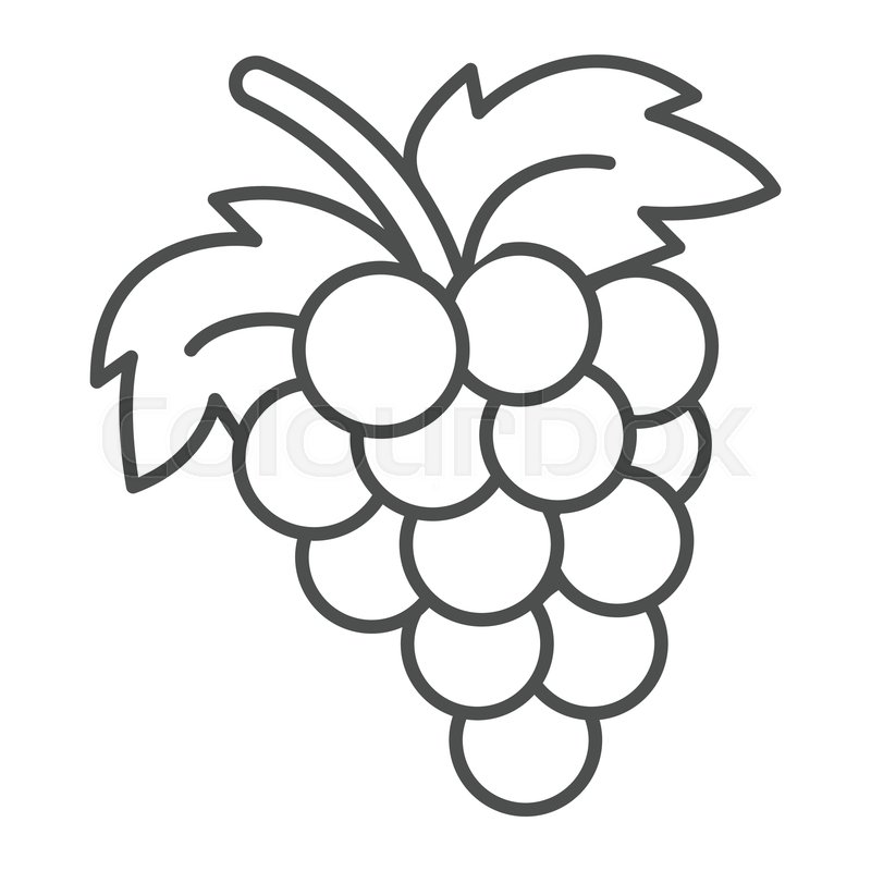 Grapes Fruit Design