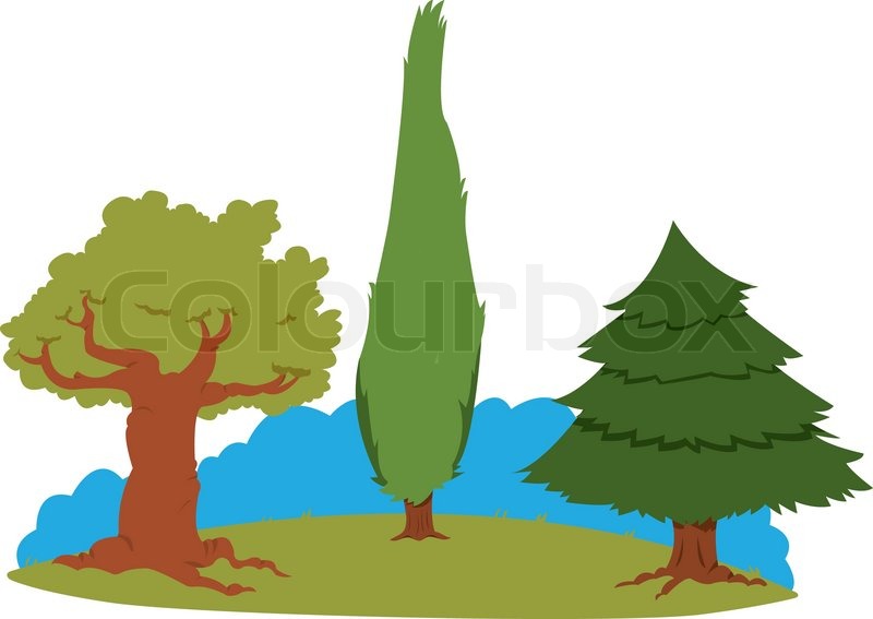 Group of trees | Stock vector | Colourbox