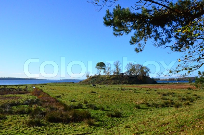 Stor grøn eng i dansk natur med træer, ... | Stock foto | Colourbox