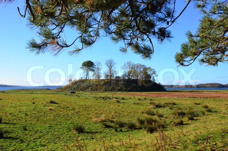 Stor grøn eng i dansk natur med træer, ... | Stock foto | Colourbox
