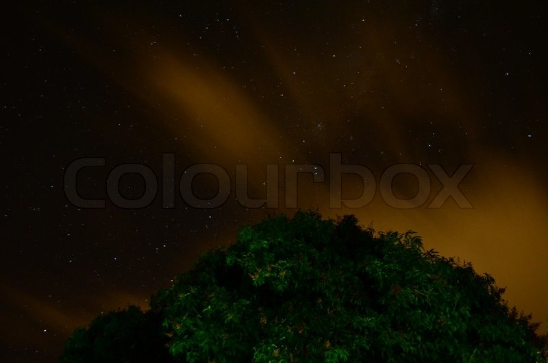 When Stars And Trees