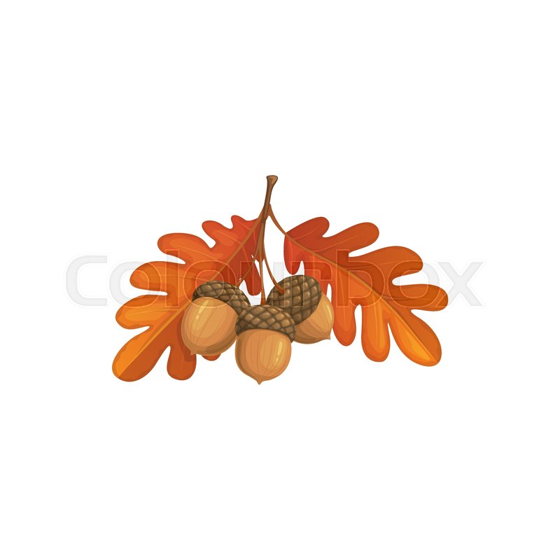 Autumn Oak Leaf Clip Art