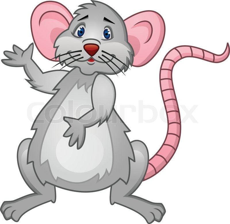 Rat Cartoon | Stock Vector | Colourbox