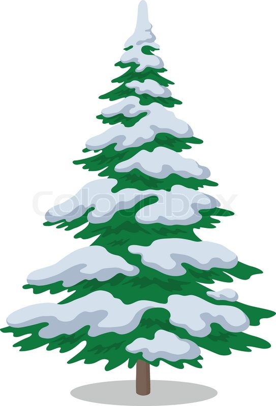 Snowy Pine Tree Vector