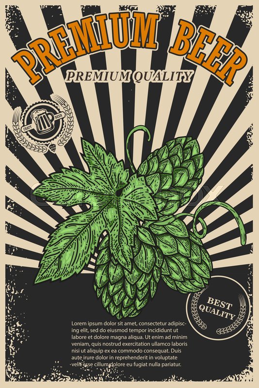 Premium beer. Poster template with ... | Stock vector | Colourbox