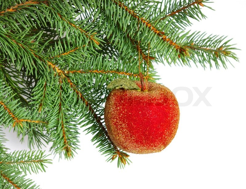 Tannenbaum | Stock Bild | Colourbox