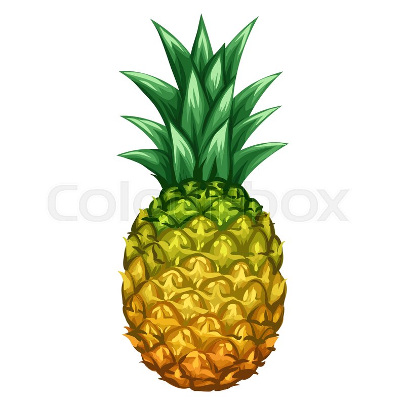 Stylized illustration of pineapple. ... | Stock vector | Colourbox
