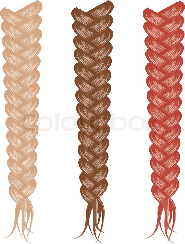 Three braids | Stock Vector | Colourbox