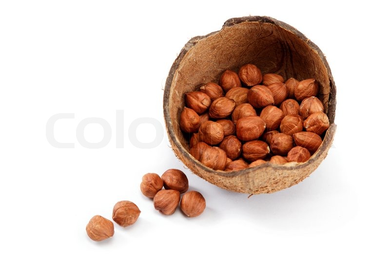 Hazelnuts in a coconut shell isolated ... | Stock image | Colourbox