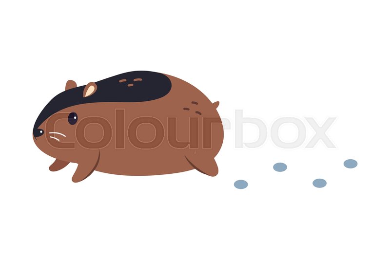 Cute Lemming Rodent as Arctic Animal ... | Stock vector | Colourbox