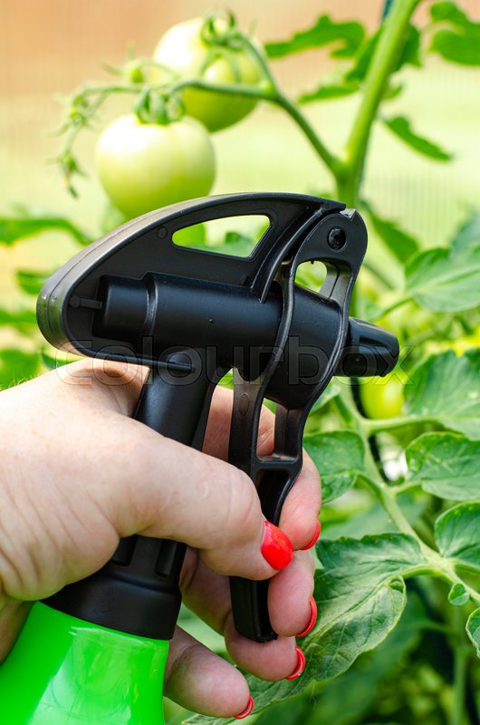 Hand Sprayer For Pesticides