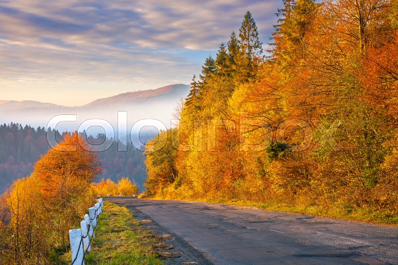 Beautiful Fall Country Scenery