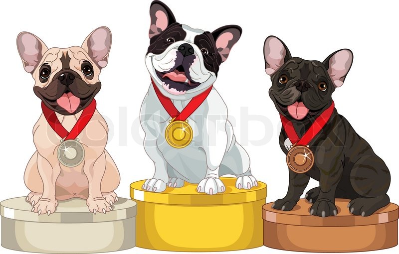 Winners of Dog competition | Stock vector | Colourbox