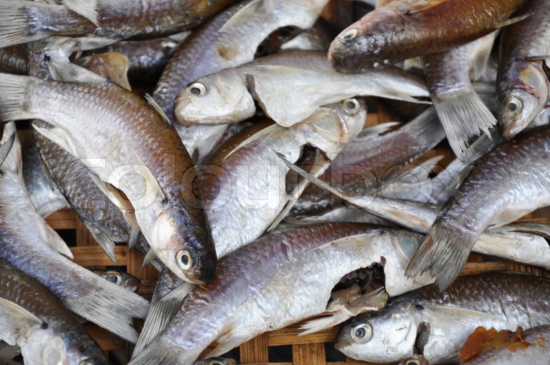 Gutted fish in Thailand local market | Stock image | Colourbox